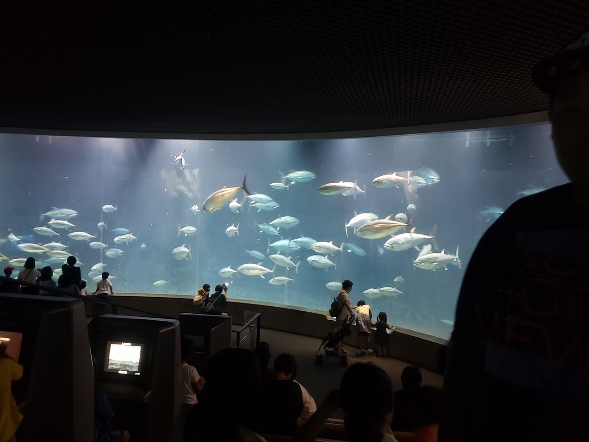 Tokyo Sea Life Park | Super Parents