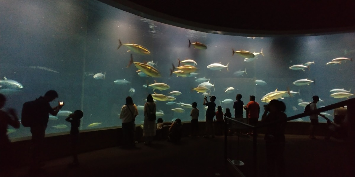 Tokyo Sea Life Park | Super Parents